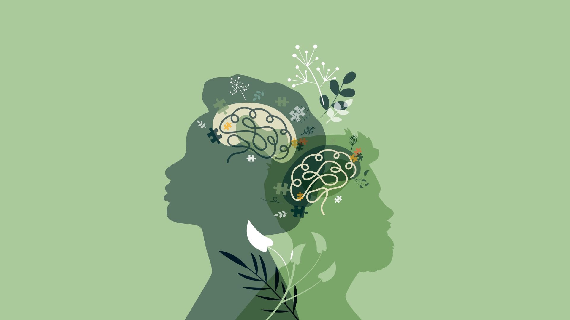 Neuroaesthetics 101: How Beauty Affects the Brain and Why It Matters ...